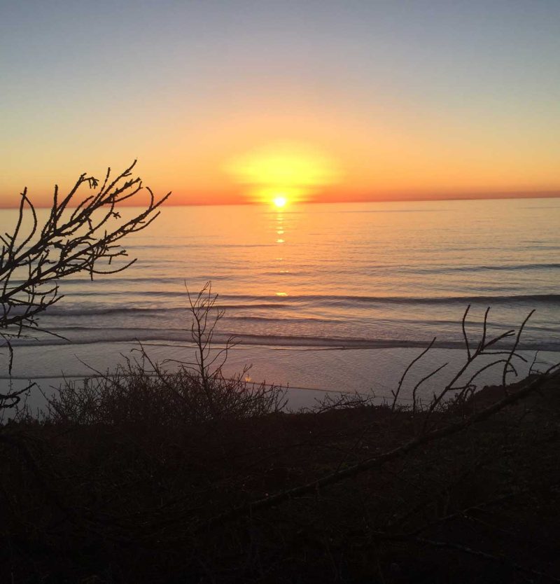 Soquel Campground – Year around RV camping