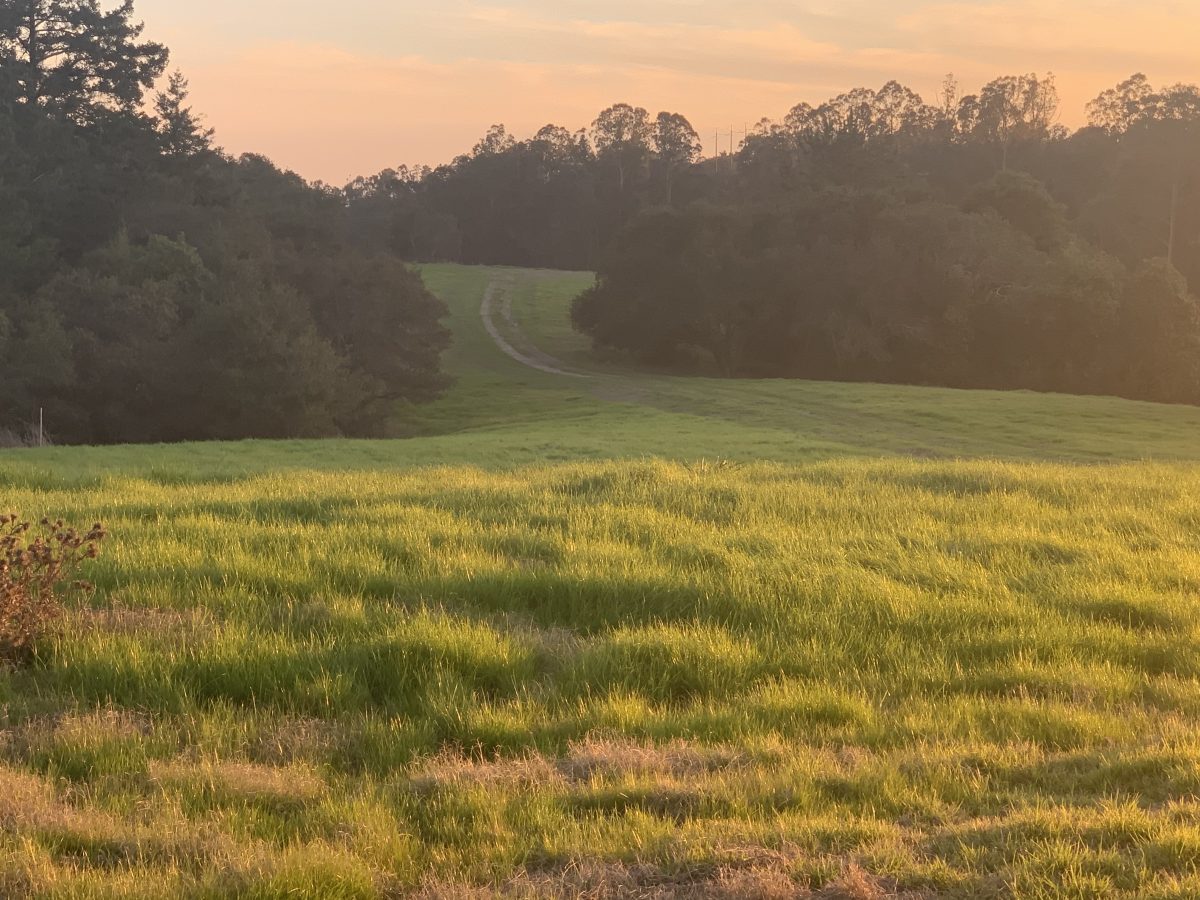 About – Soquel Campground